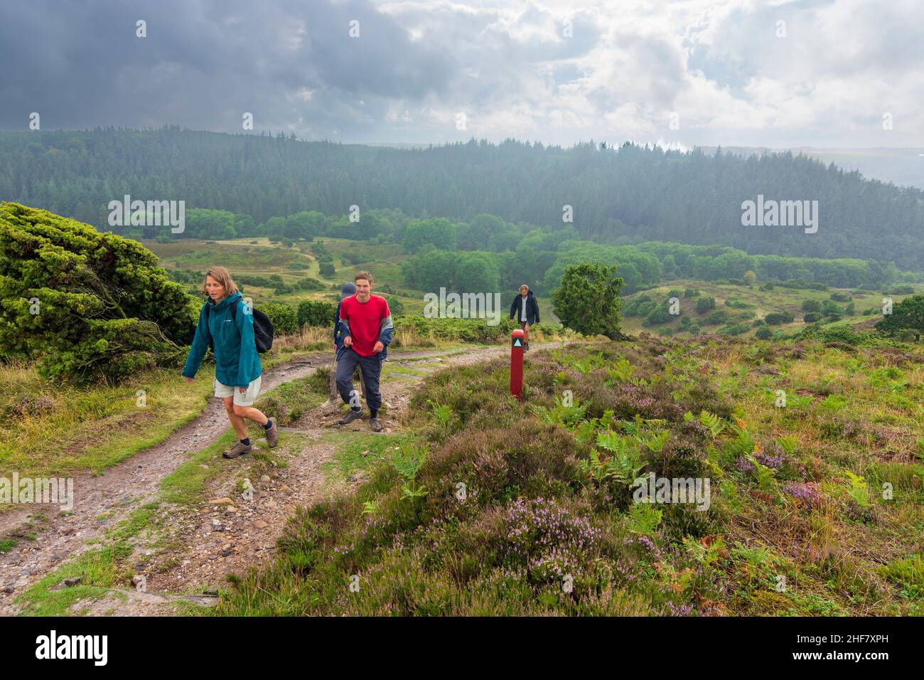 Nationalpark rebild bakker hi-res stock photography and images - Alamy