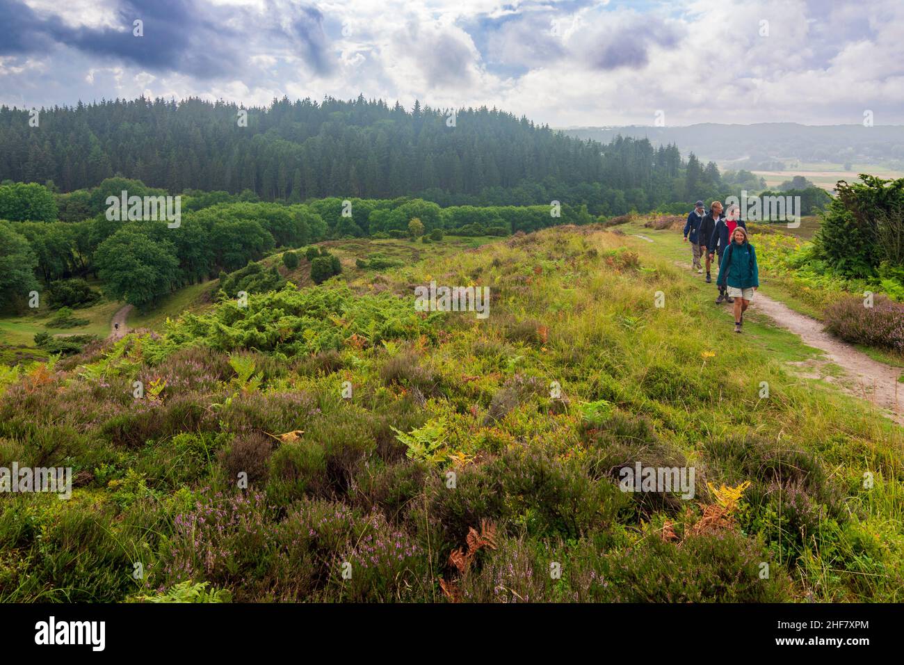 Nationalpark rebild bakker hi-res stock photography and images - Alamy