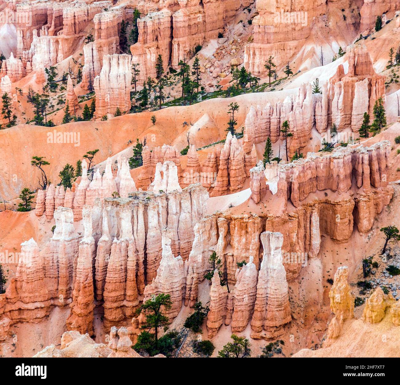 beautiful landscape in Bryce Canyon with magnificent Stone formation ...