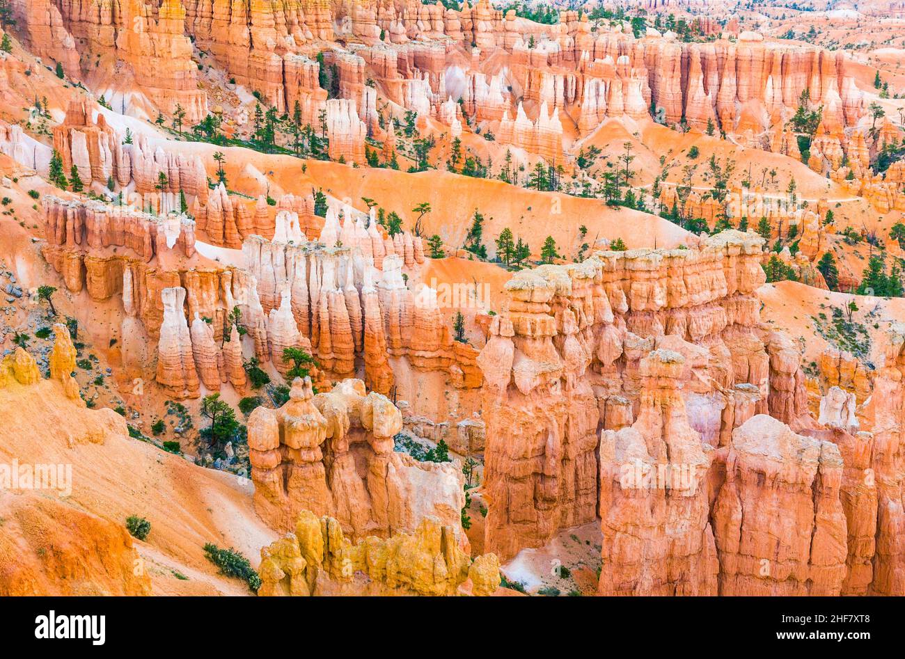 beautiful landscape in Bryce Canyon with magnificent Stone formation ...