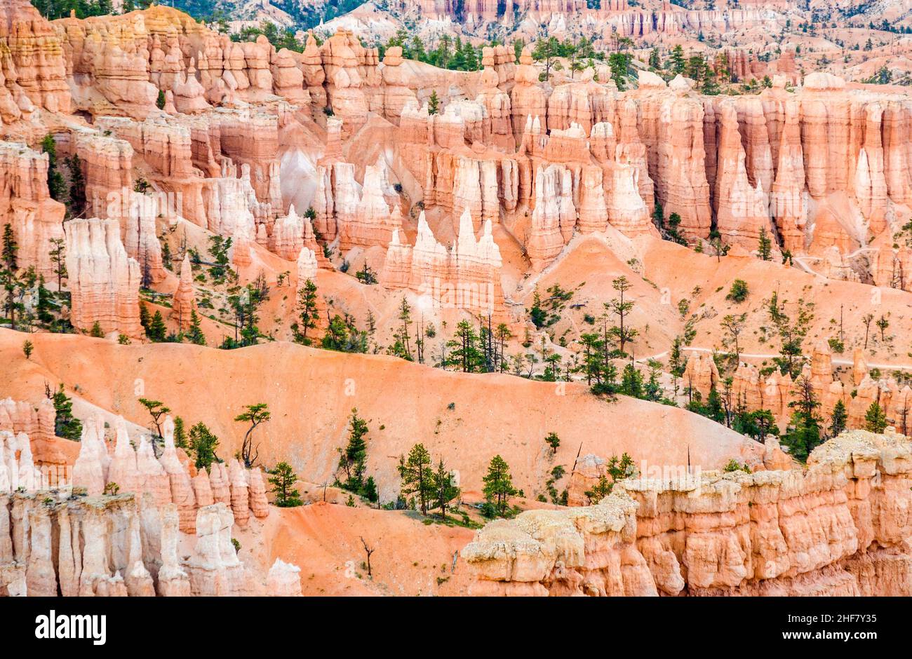 beautiful landscape in Bryce Canyon with magnificent Stone formation ...