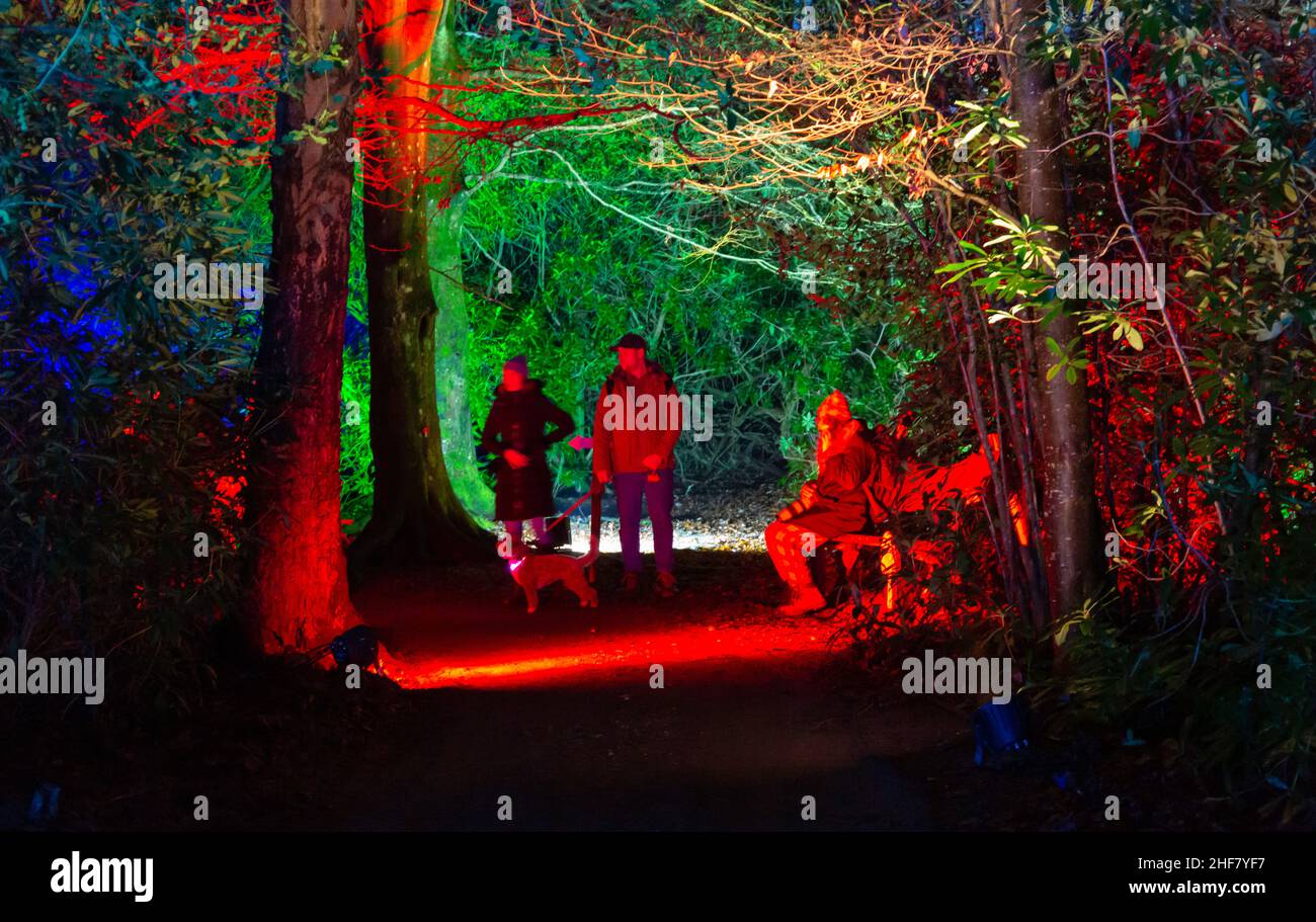 Wareham, Dorset, UK. 14th January, 2022. Blue Pool Nature Reserve is ...