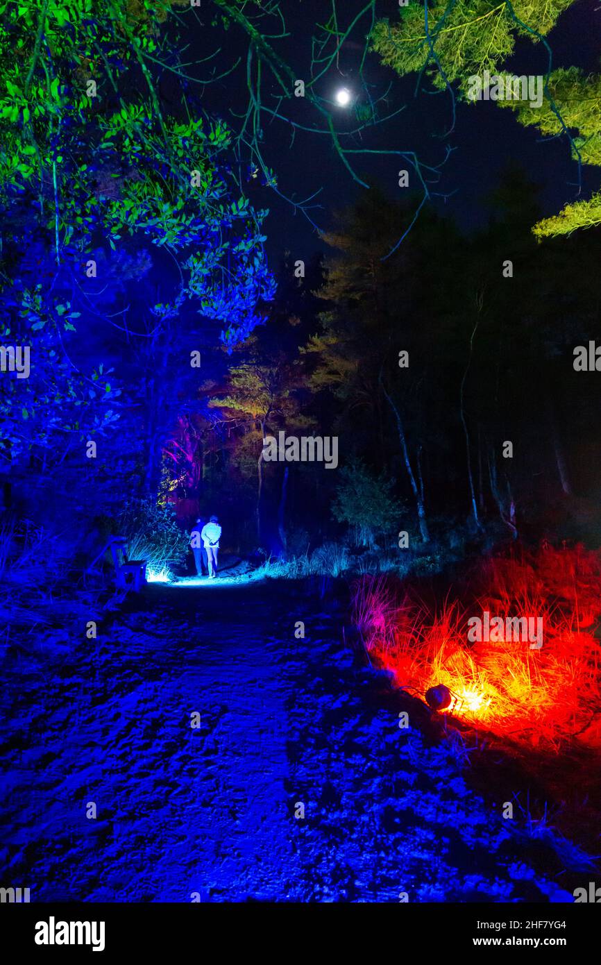 Wareham, Dorset, UK. 14th January, 2022. Blue Pool Nature Reserve is ...