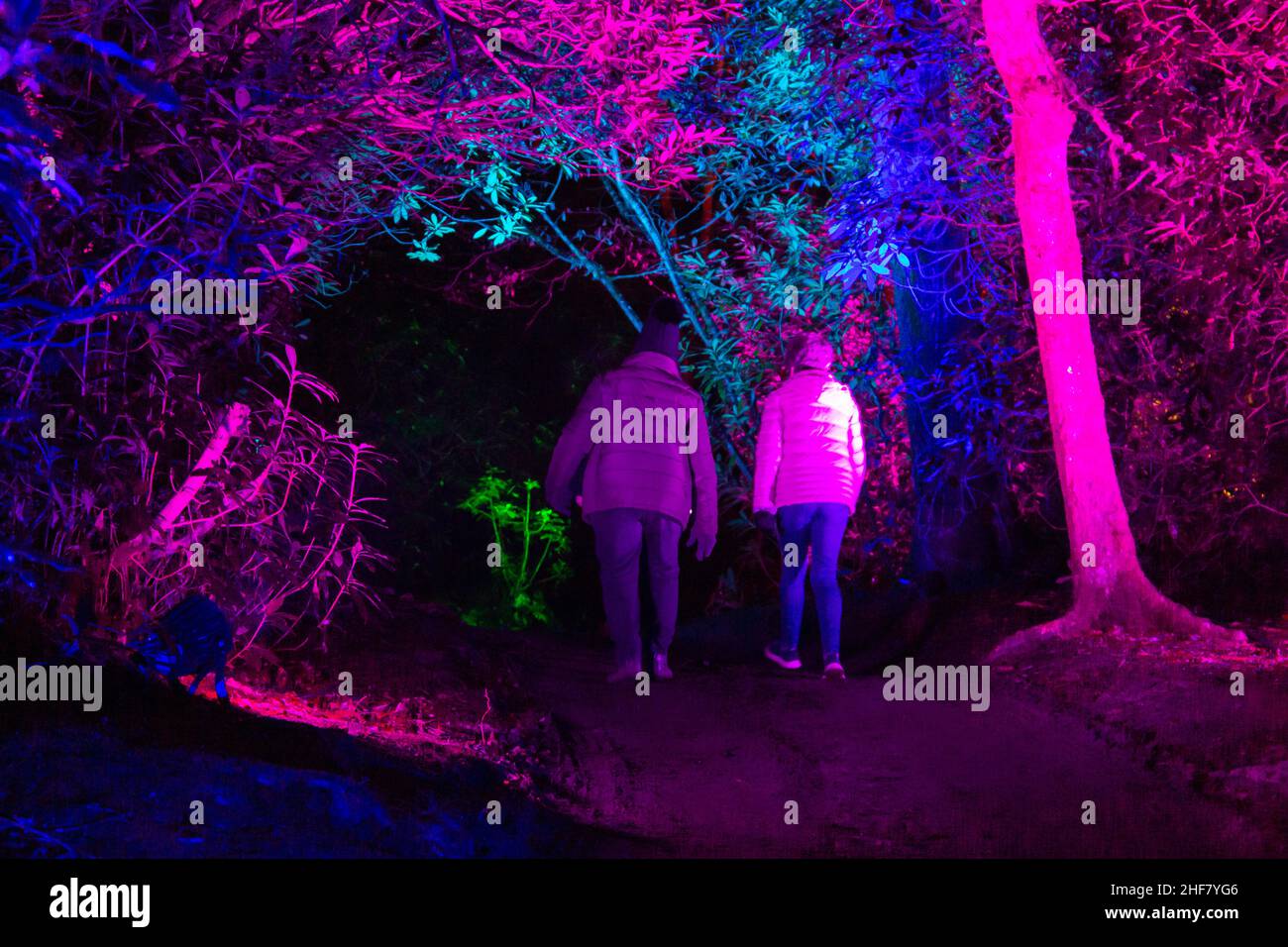 Wareham, Dorset, UK. 14th January, 2022. Blue Pool Nature Reserve is ...