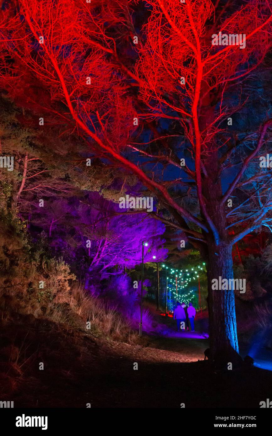Wareham, Dorset, UK. 14th January, 2022. Blue Pool Nature Reserve is ...