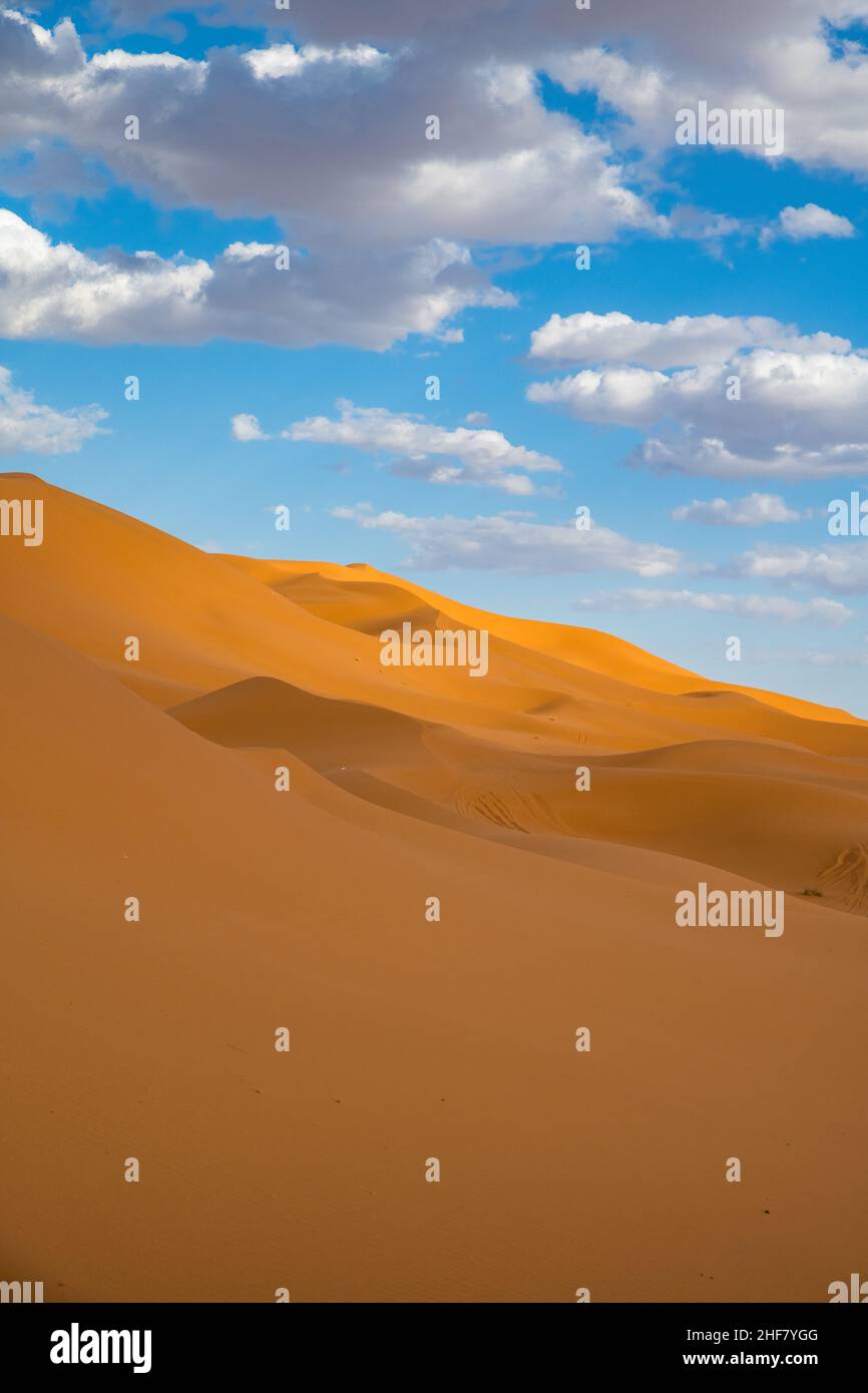 Sand dunes in Morocco. Erg Chebbi Sahara desert. Yellow red sand and ...