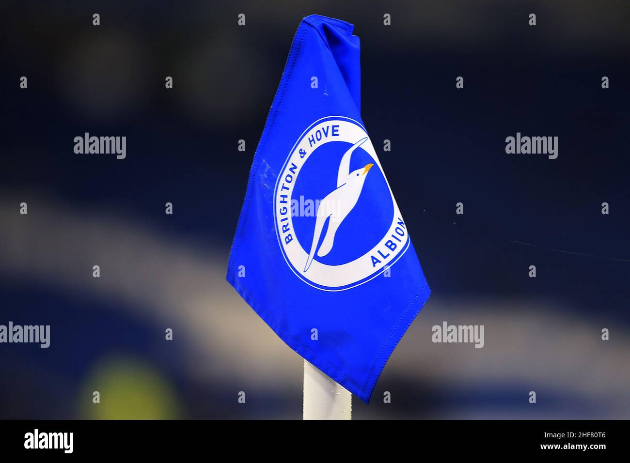 Brighton fc flag hi-res stock photography and images - Alamy