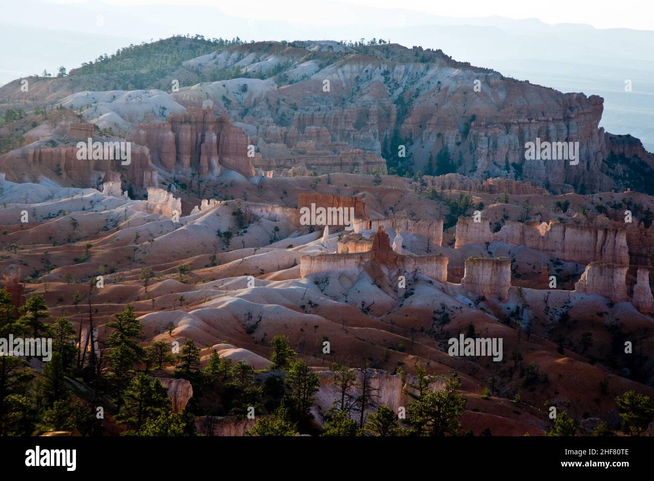 Bryce Canyon hoodoos in the first rays of sun, Utah Stock Photo - Alamy