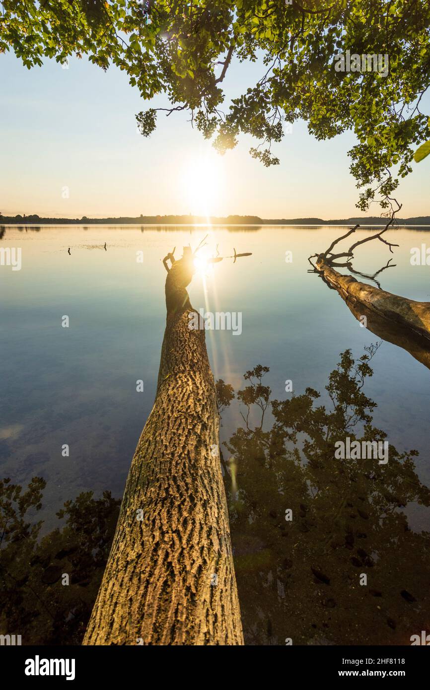 Lake grosser ploner see in holsteinische schweiz hi-res stock ...