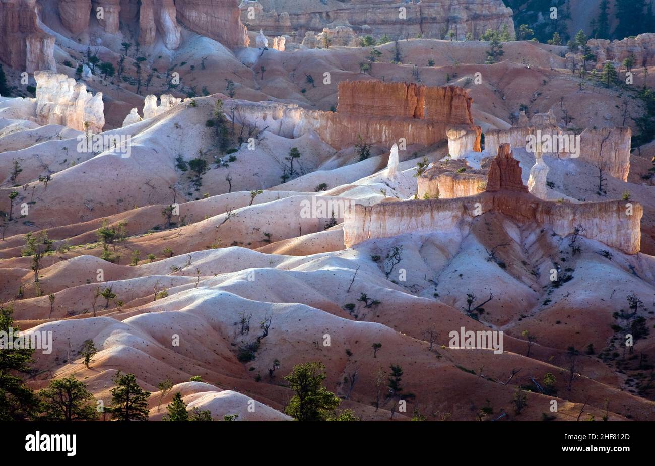 Bryce Canyon hoodoos in the first rays of sun, Utah Stock Photo - Alamy