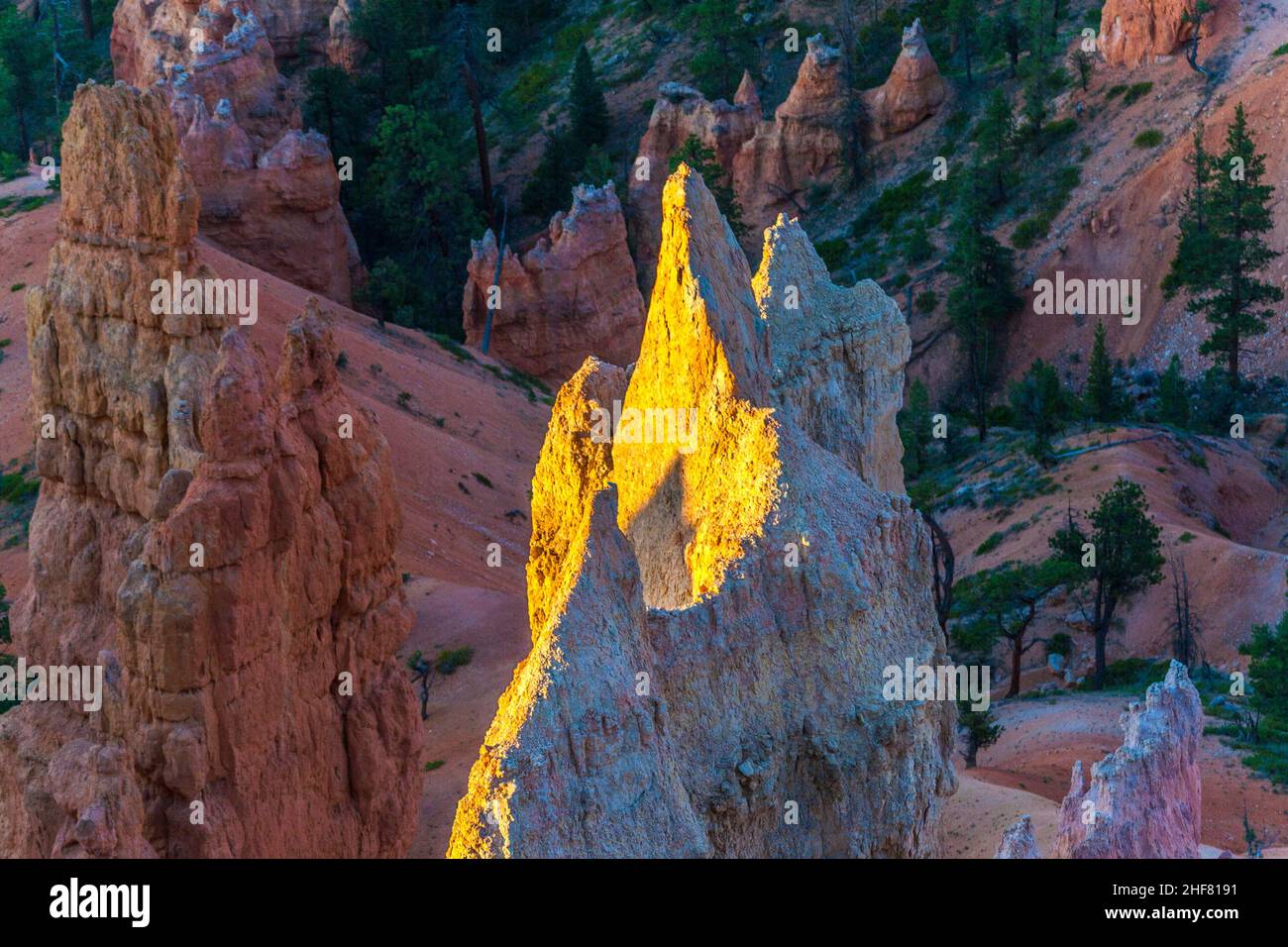 beautiful landscape in Bryce Canyon with magnificent Stone formation ...