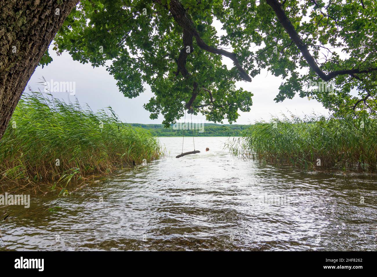 Swimmer in veng hi-res stock photography and images - Alamy