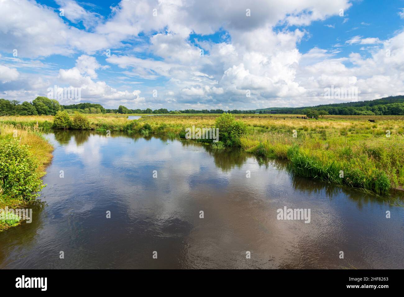 Wetland klosterkaer in klostermoelle hi-res stock photography and ...