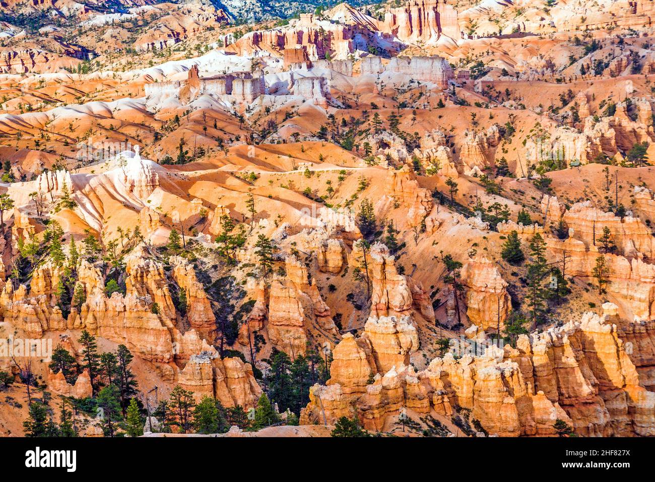 beautiful landscape in Bryce Canyon with magnificent Stone formation ...