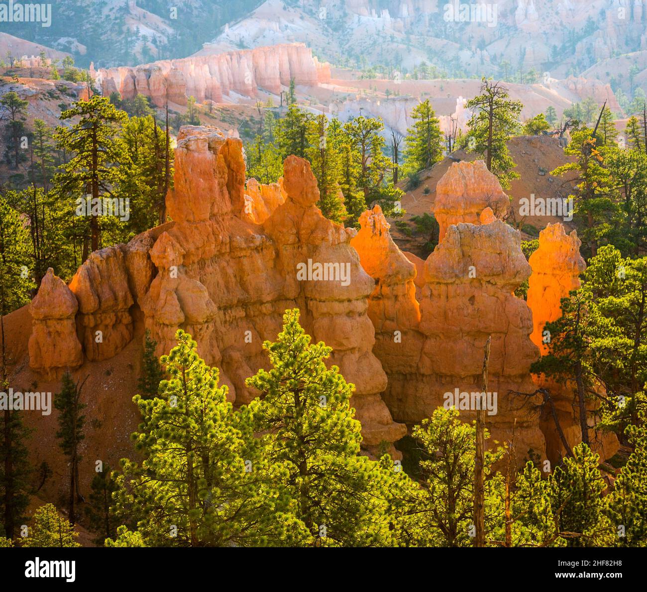 beautiful landscape in Bryce Canyon with magnificent Stone formation in ...