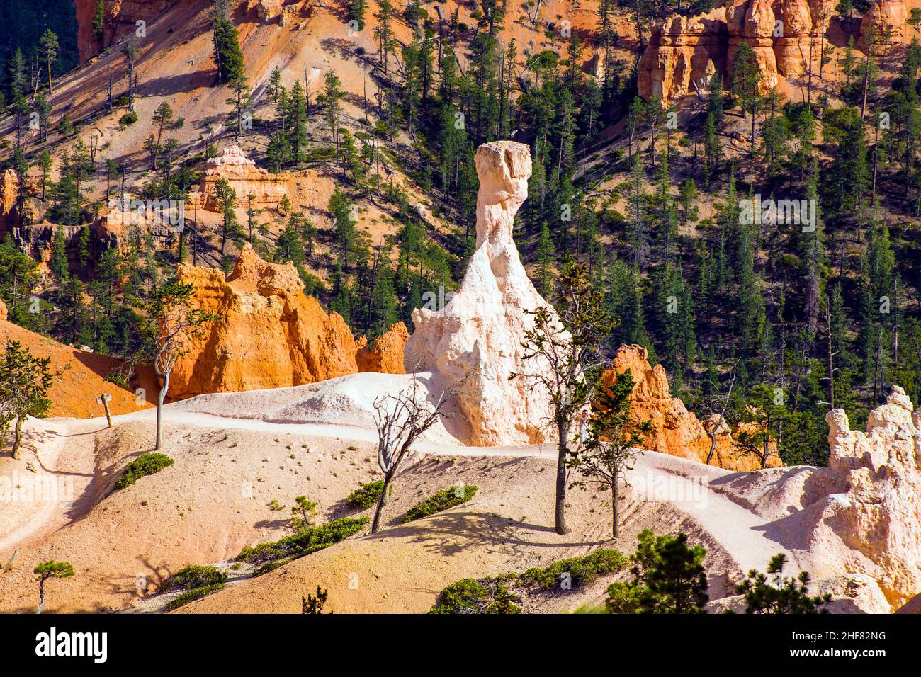 Human form in tree hi-res stock photography and images - Alamy