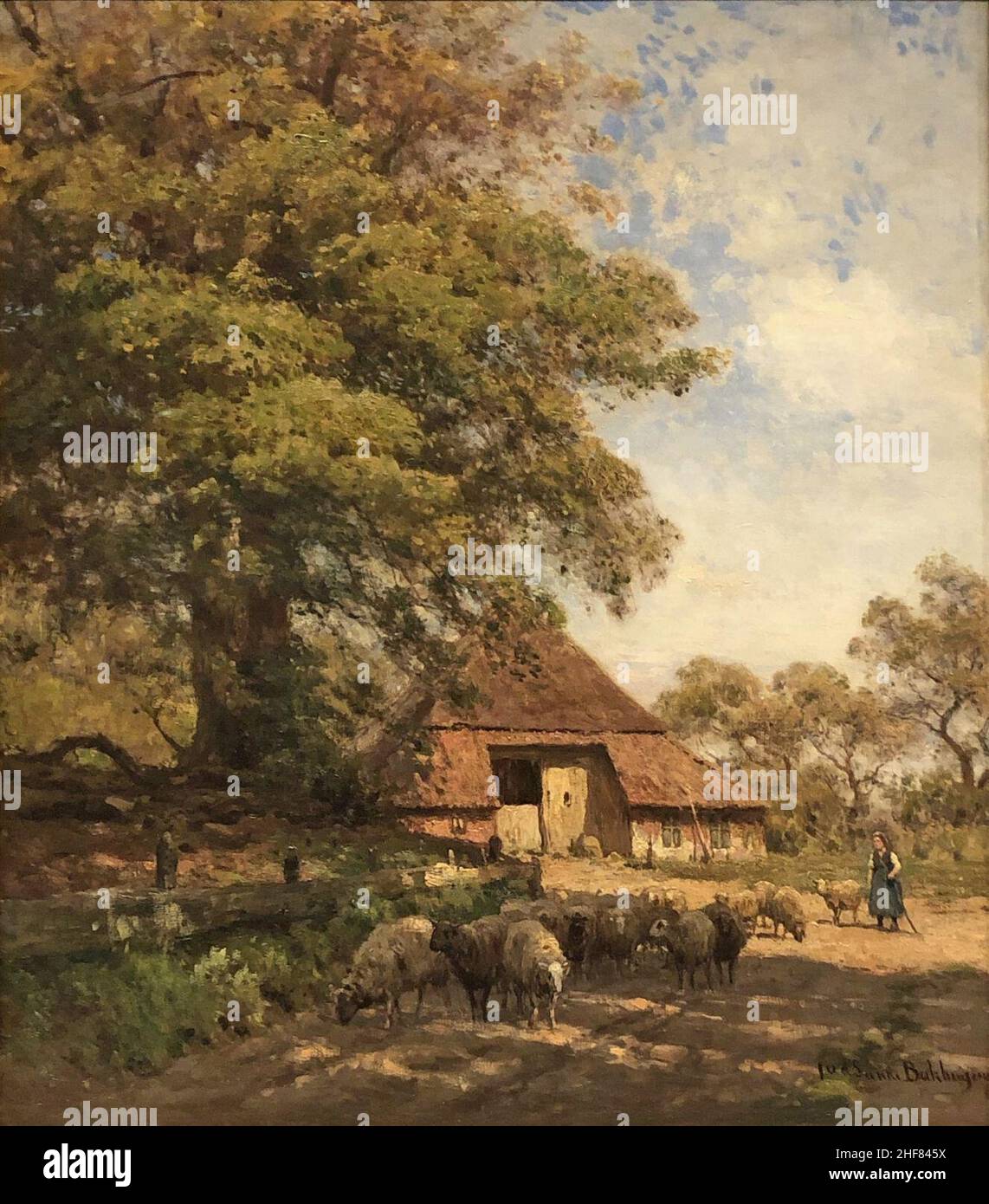 Schaapskooi hi-res stock photography and images - Alamy