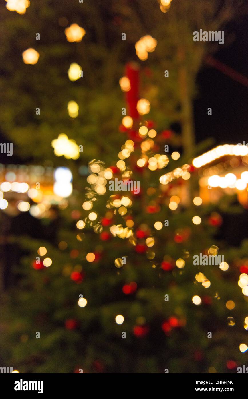 Tree x ray hi-res stock photography and images - Alamy