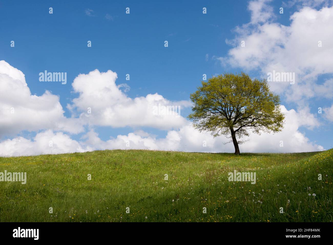 May landscape hi-res stock photography and images - Alamy