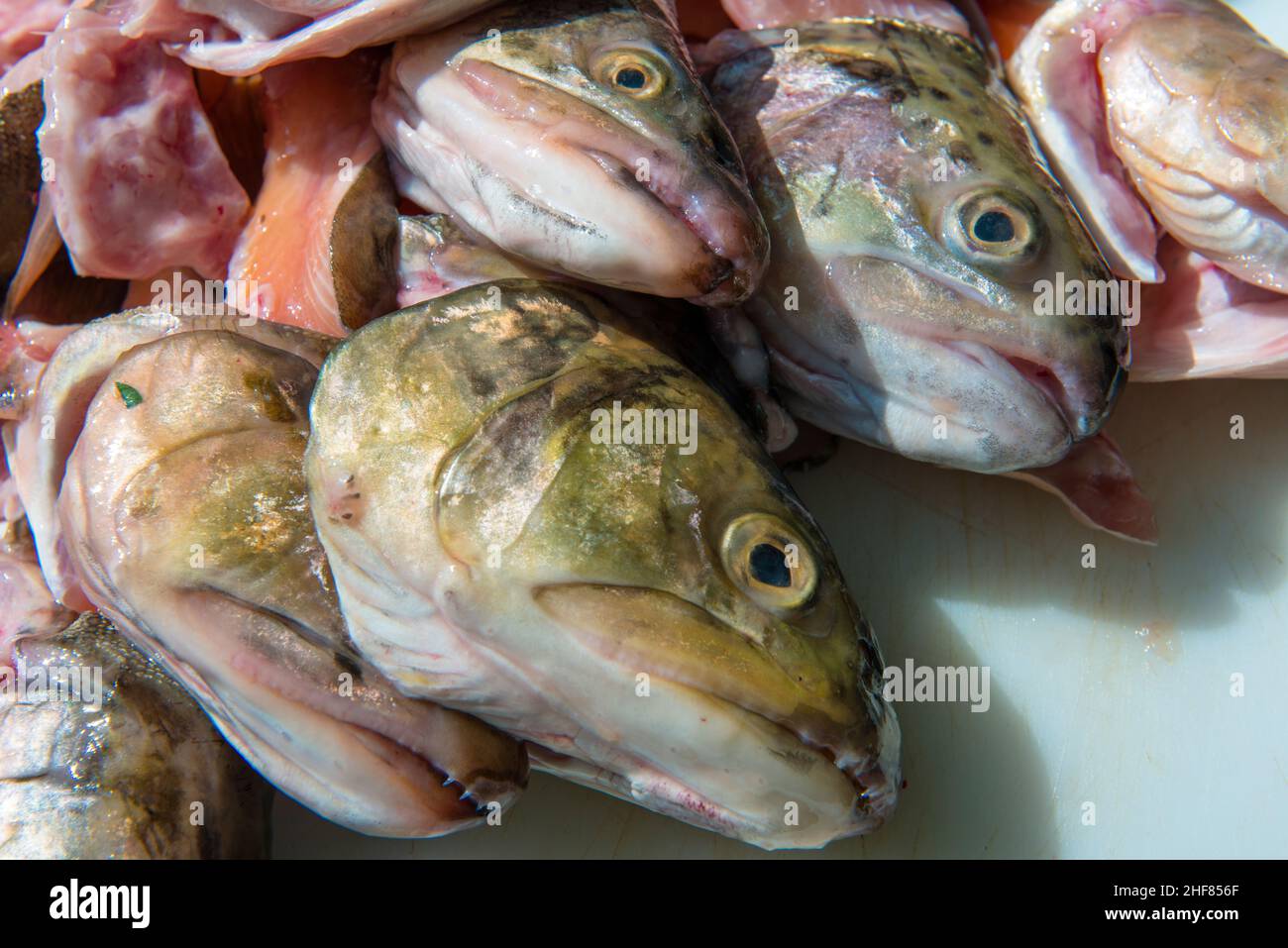 Fish heads hi-res stock photography and images - Alamy
