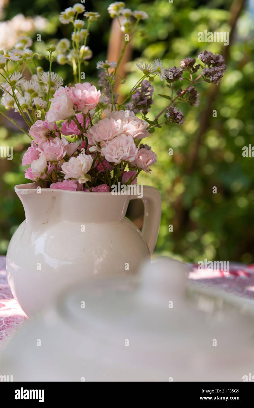 delicate rose-colored roses, old milk cans, country life Stock Photo ...