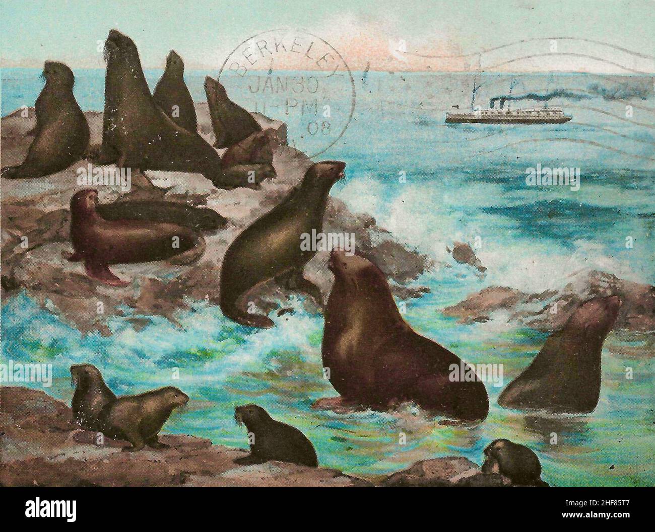 Seal Rocks, Cliff House Stock Photo - Alamy