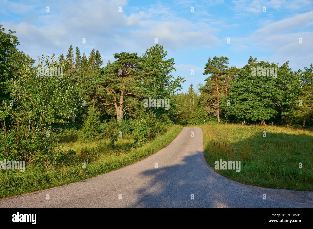 Road, forest, summer, Halleberg, Vargön, Västra Götalands län, Vastra ...