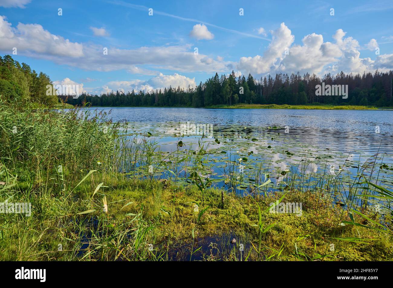 Lake, forest, sky, summer, Eldmörjan, Hunneberg, Vargön, Västra ...