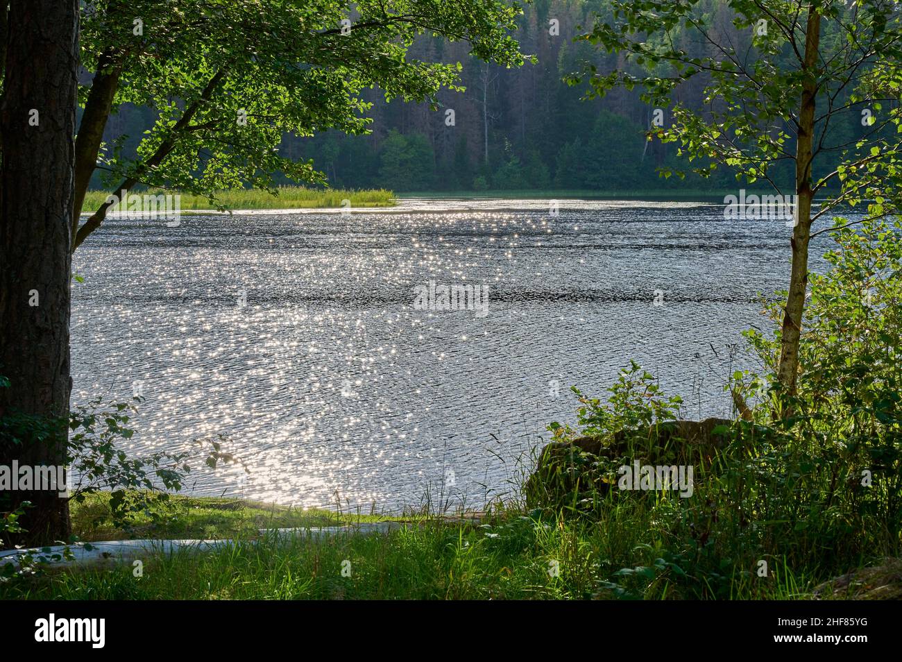 Lake, forest, sky, sun, summer, Eldmörjan, Hunneberg, Vargön, Västra ...