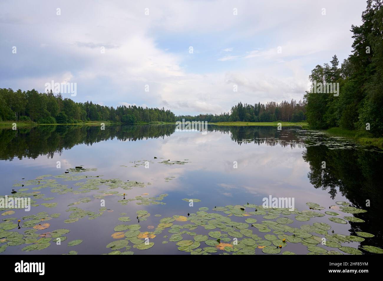 Lake, forest, clouds, summer, Eldmörjan, Hunneberg, Vargön, Västra ...