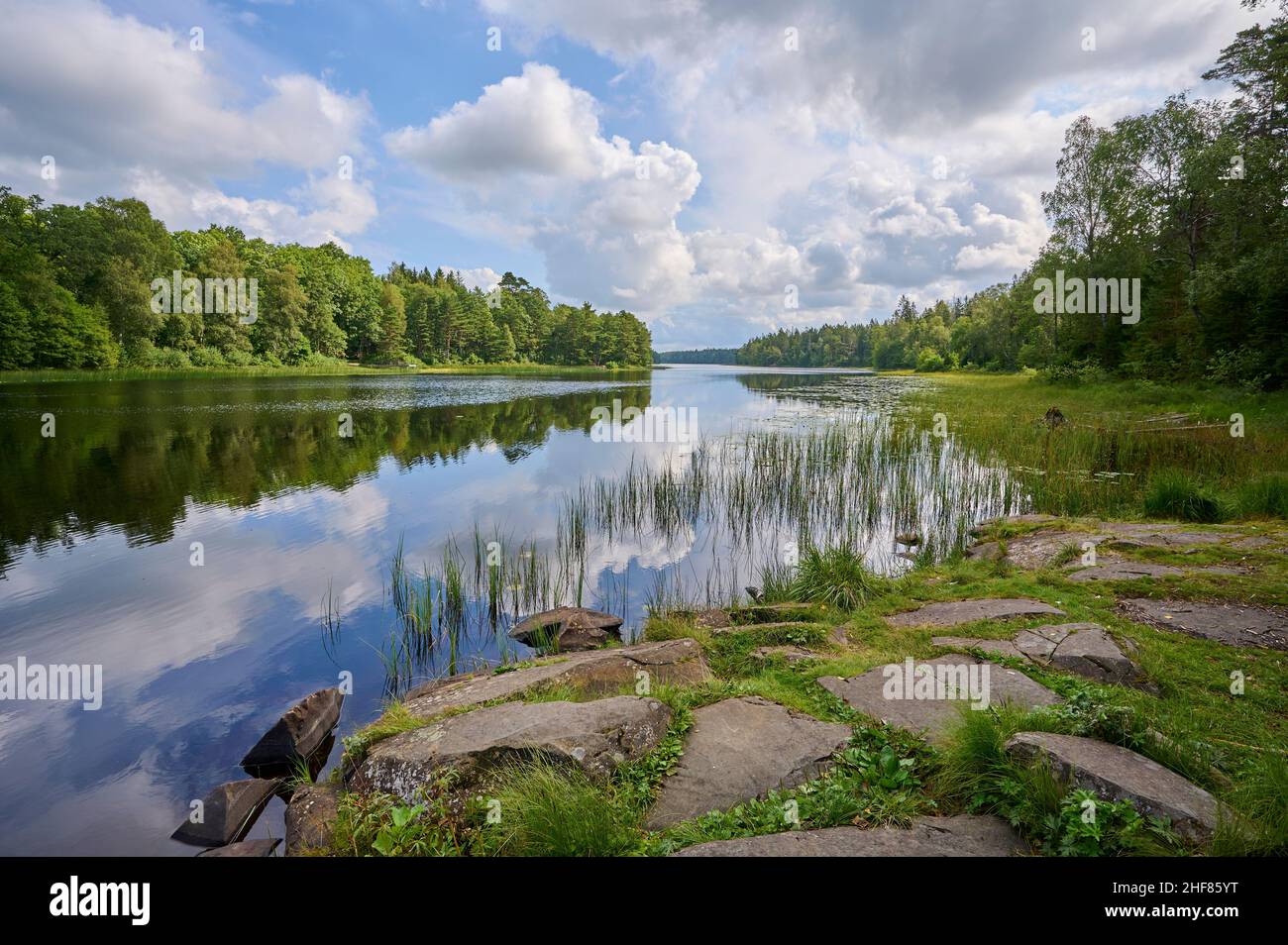 Lake, forest, clouds, sky, summer, Hallsjon, Halleberg, Vargön, Västra ...