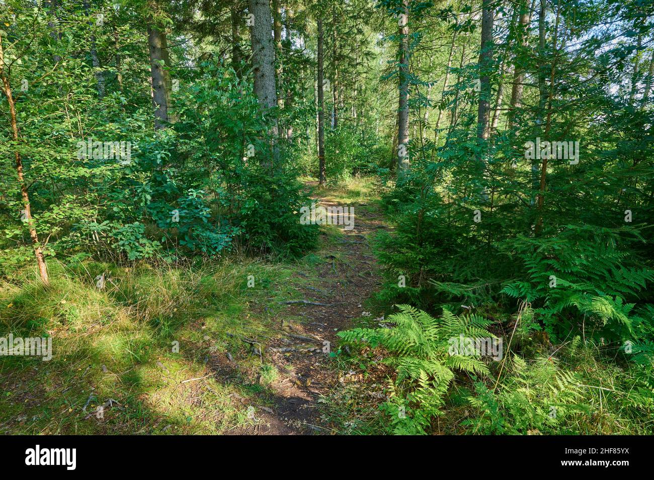 Hunneberg hi-res stock photography and images - Alamy