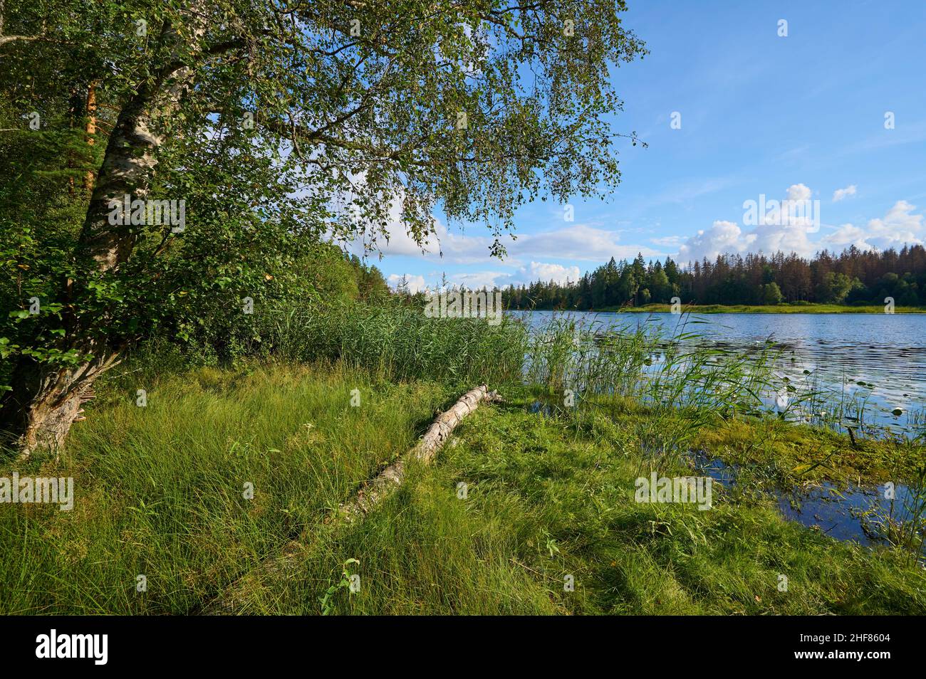 Vastra bole hi-res stock photography and images - Alamy