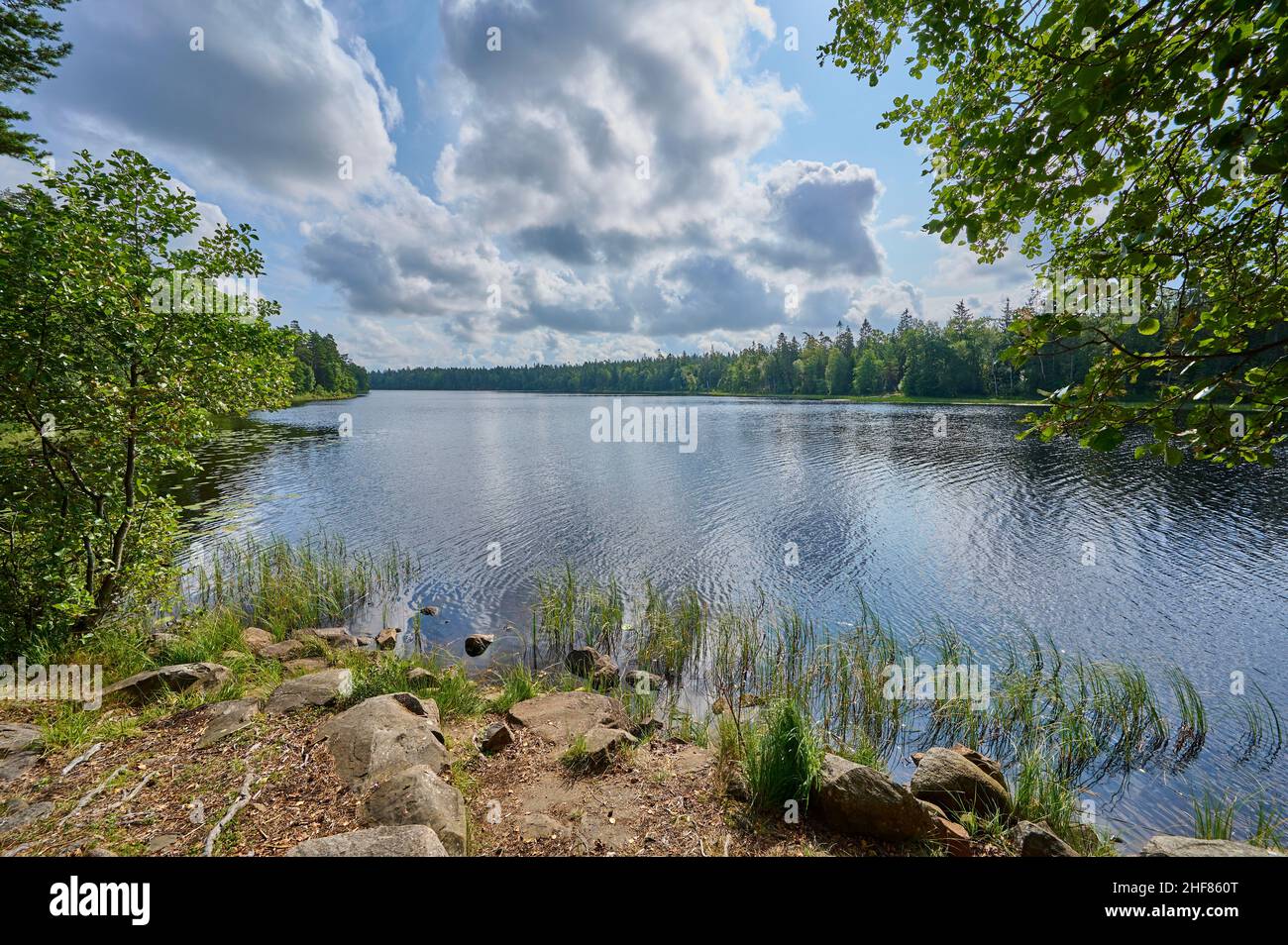 Lake, forest, clouds, sky, summer, Hallsjon, Halleberg, Vargön, Västra ...