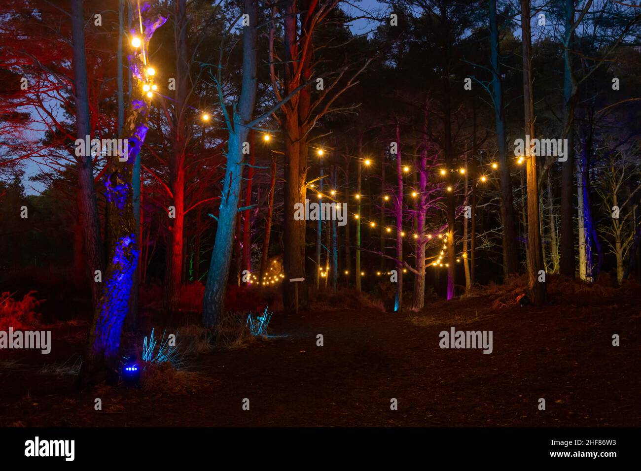 Wareham, Dorset, UK. 14th January, 2022. Blue Pool Nature Reserve is ...