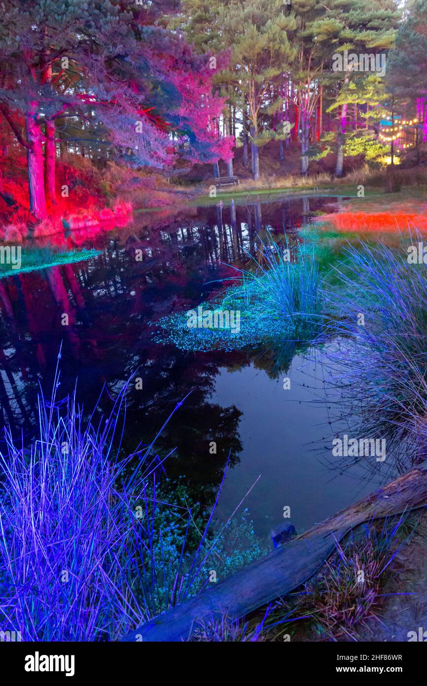 Wareham, Dorset, UK. 14th January, 2022. Blue Pool Nature Reserve is ...