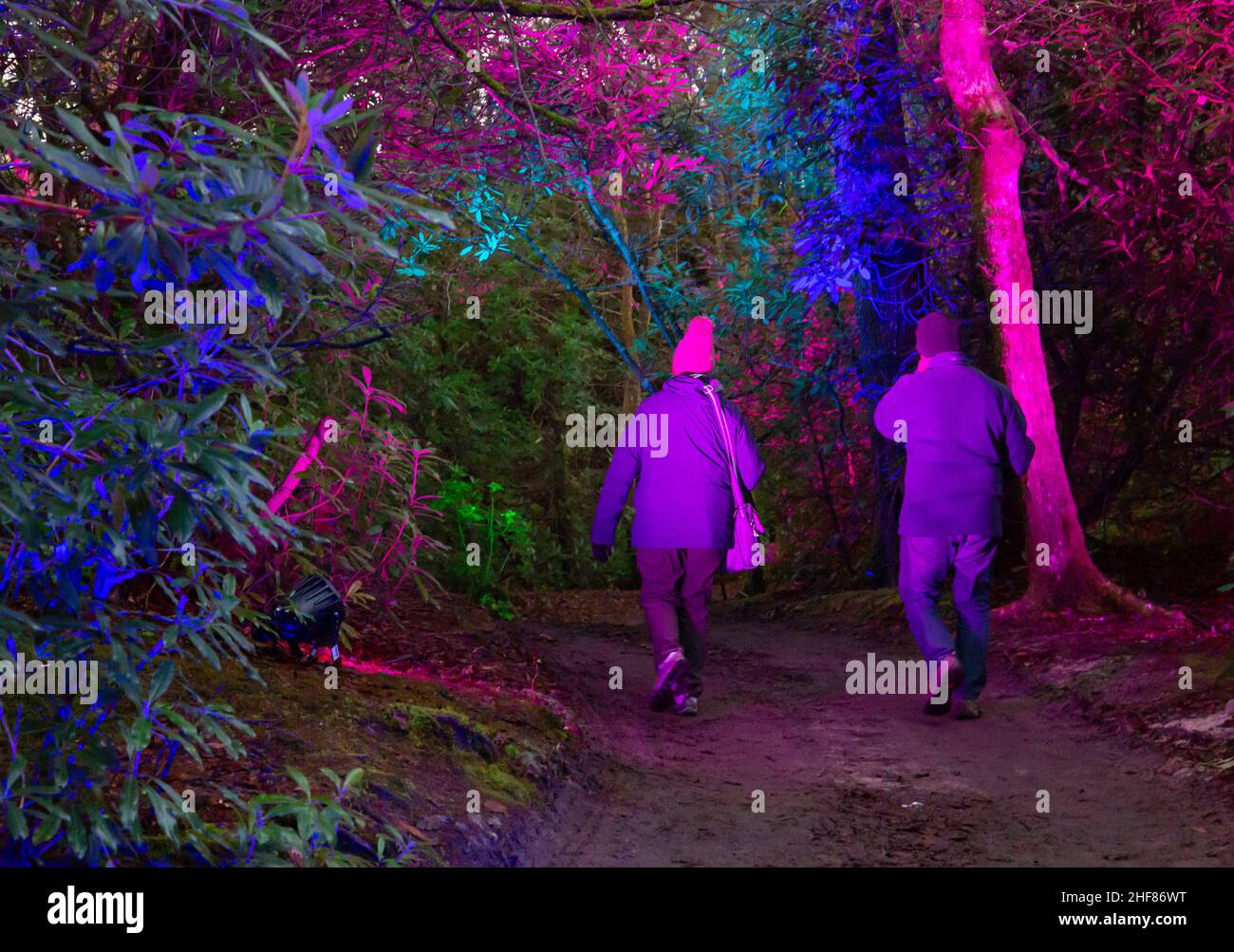 Wareham, Dorset, UK. 14th January, 2022. Blue Pool Nature Reserve is ...