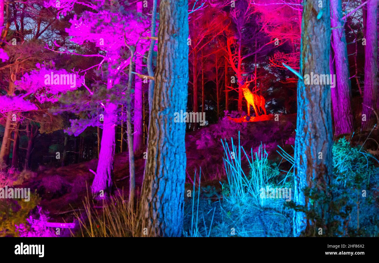 Wareham, Dorset, UK. 14th January, 2022. Blue Pool Nature Reserve is ...