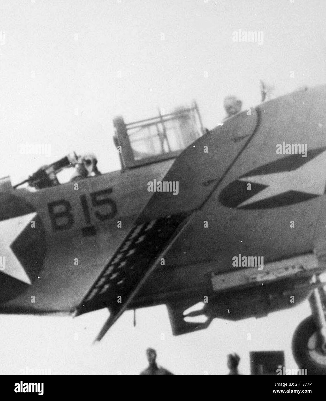 Buno hi-res stock photography and images - Alamy