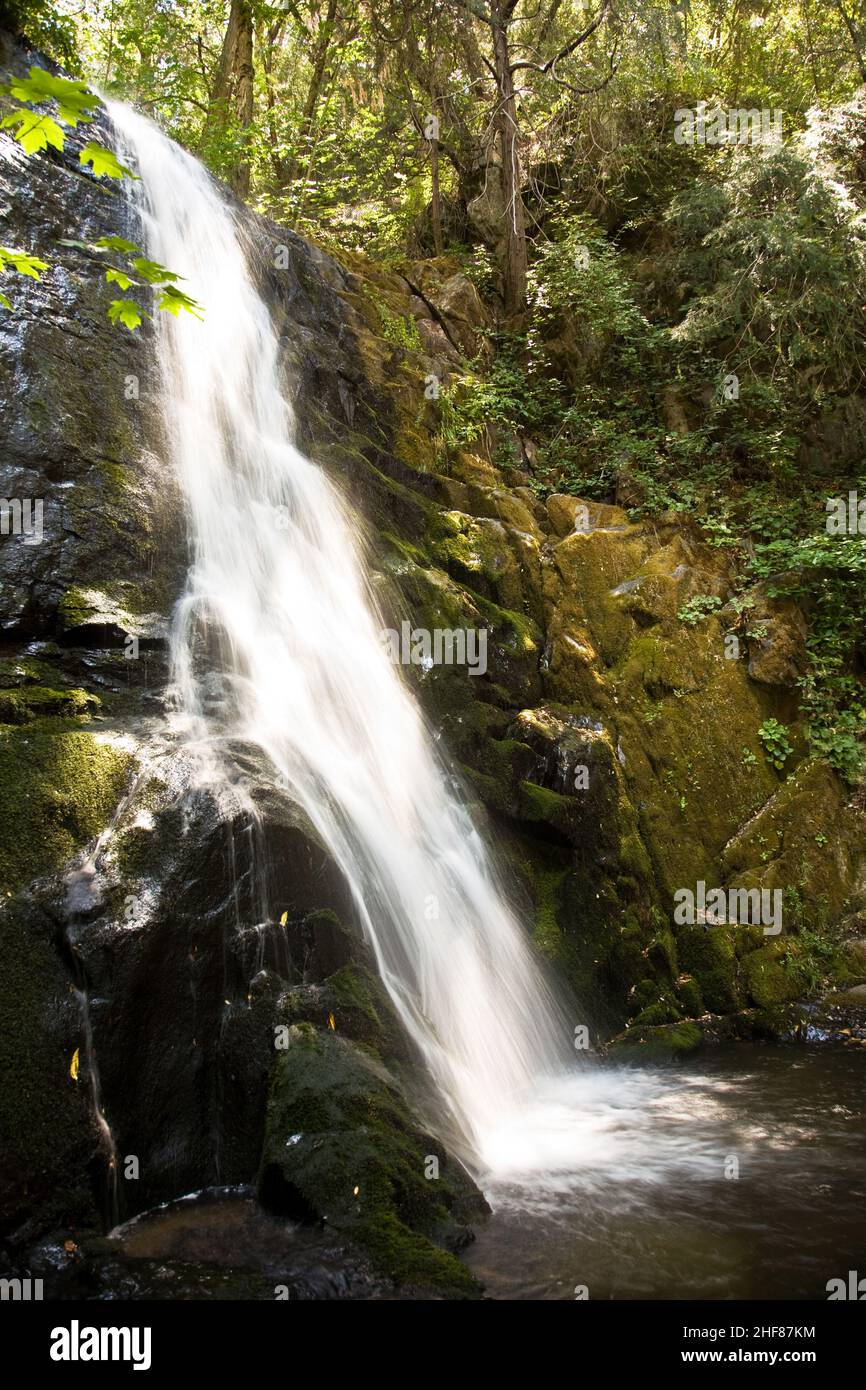 beautiful small waterfall in Sequoia National Park at the small river ...