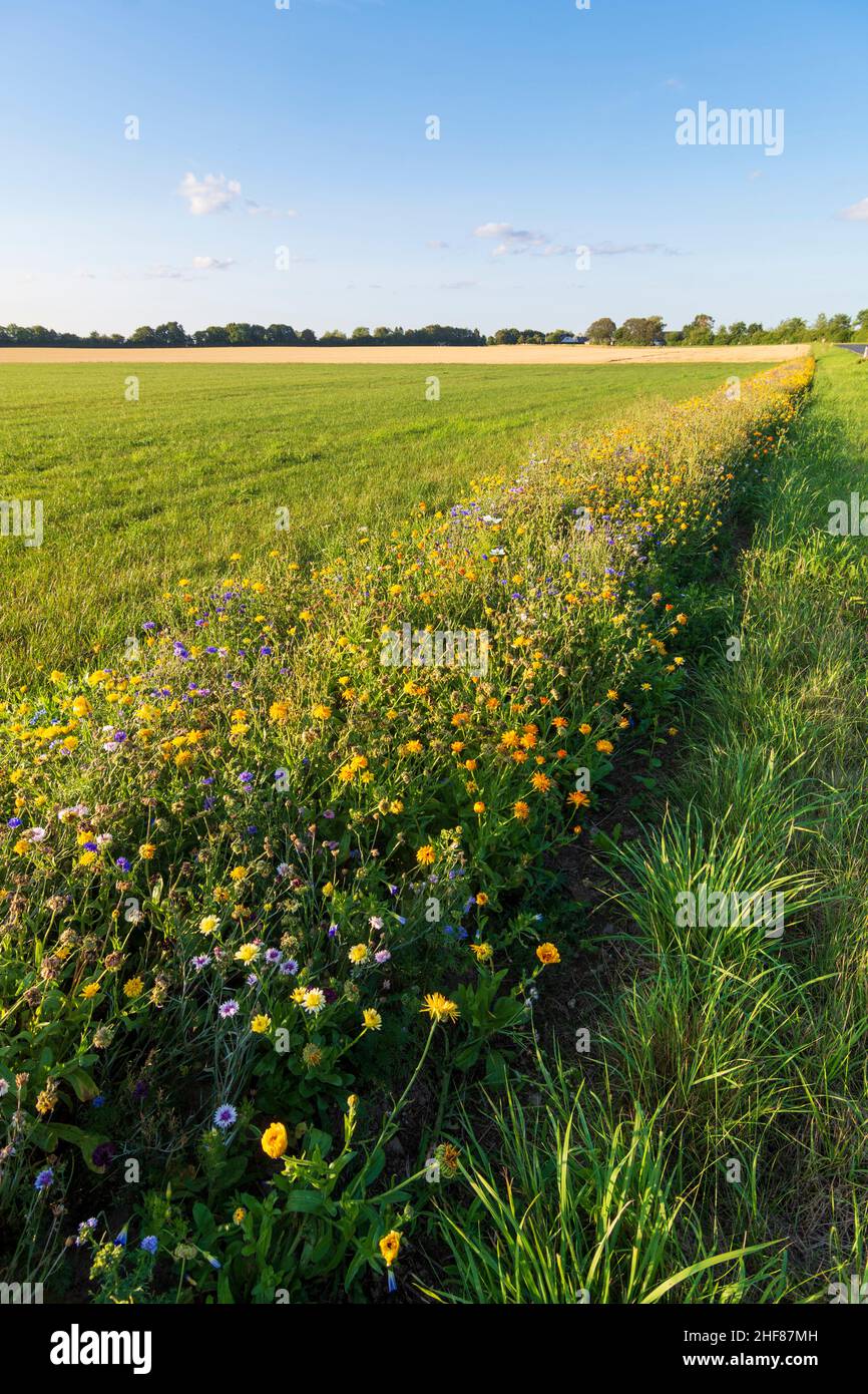 Buffer strip hi-res stock photography and images - Alamy