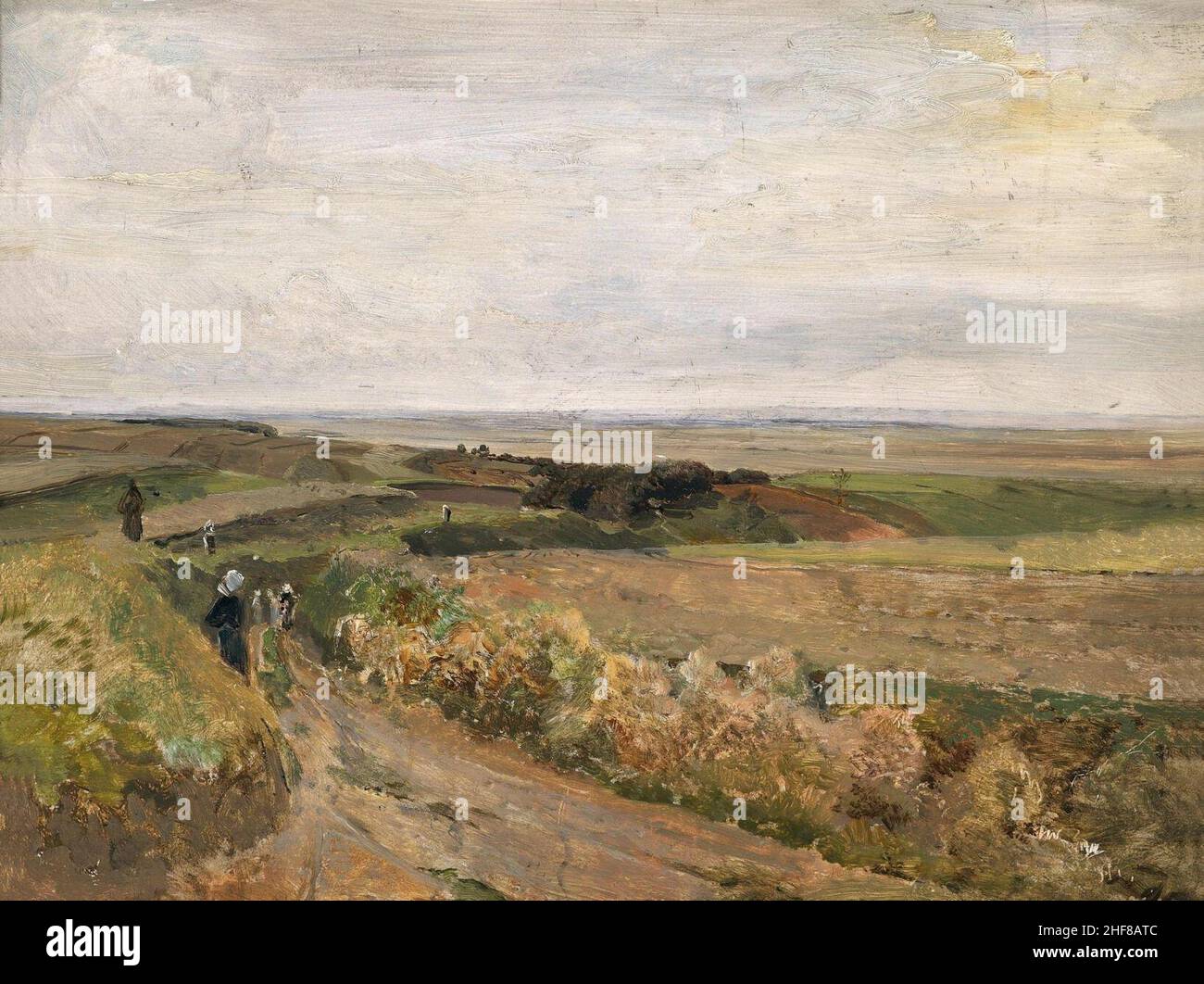 Emil Jakob Schindler - Flachlandschaft bei Plankenberg (ca. 1889 Stock ...