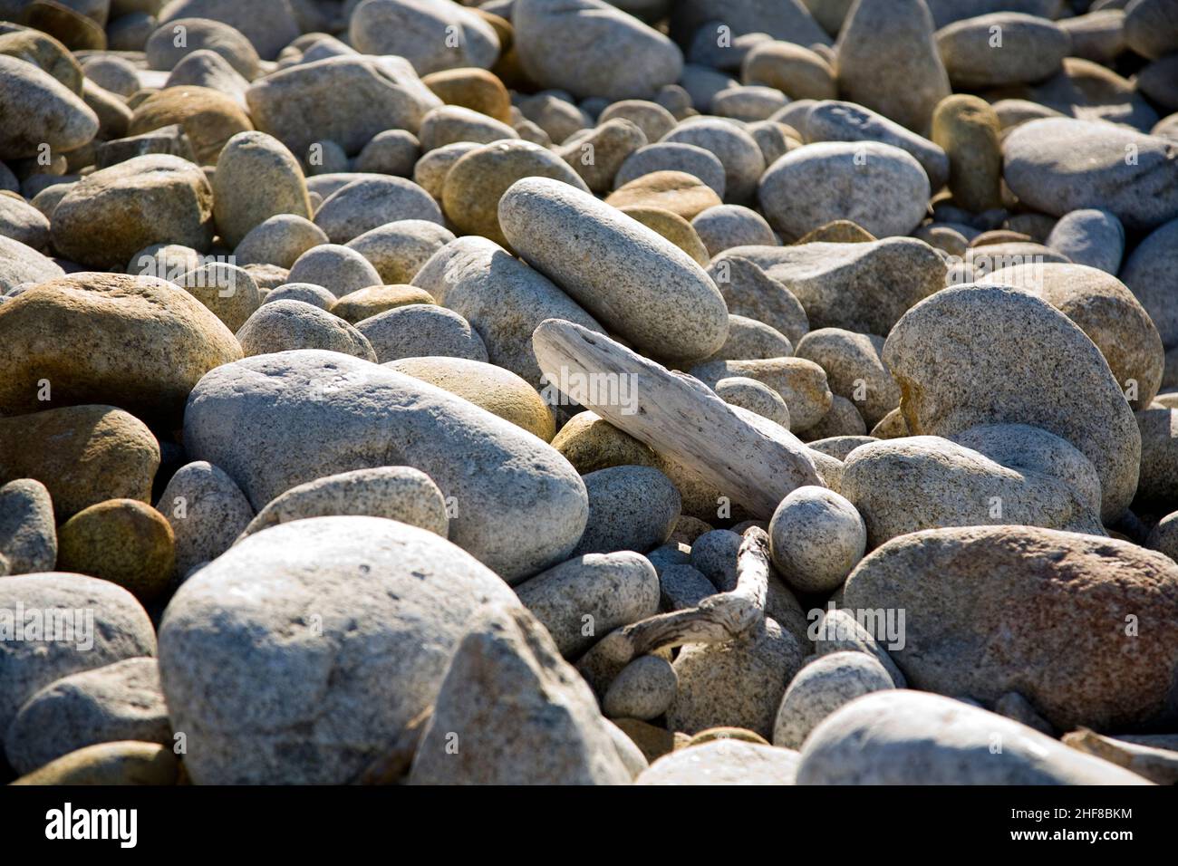 stones at the beach in harmony Stock Photo - Alamy