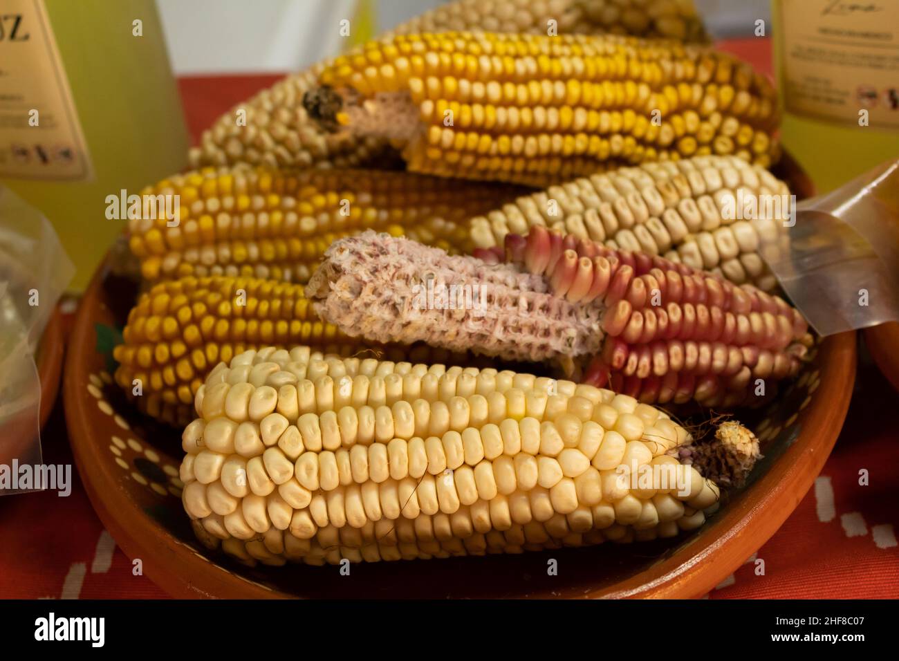 delicious organic mexican corn of many colors Stock Photo - Alamy