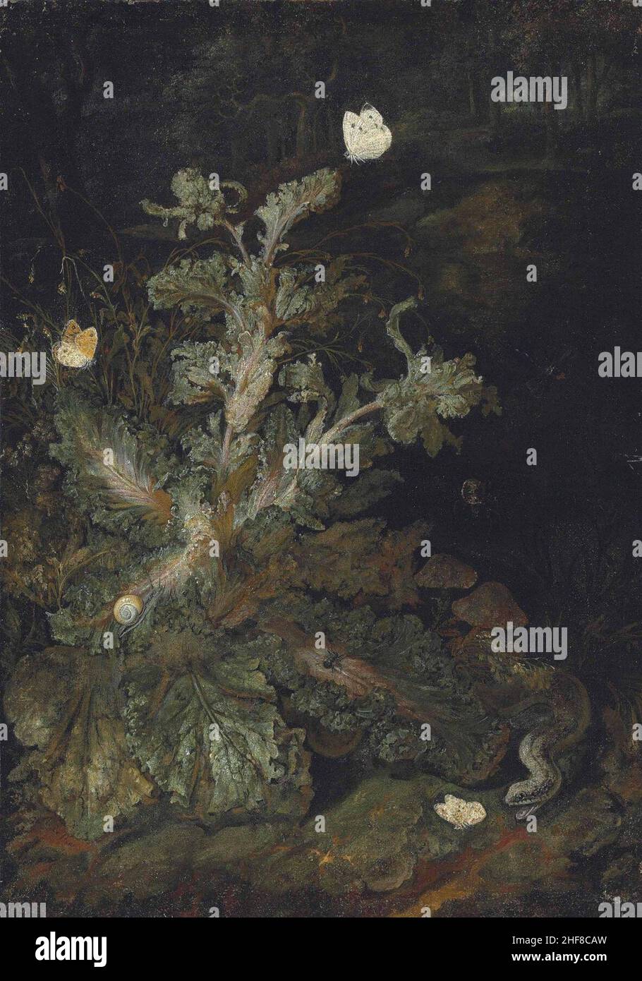 Marseus van schrieck otto hi-res stock photography and images - Alamy