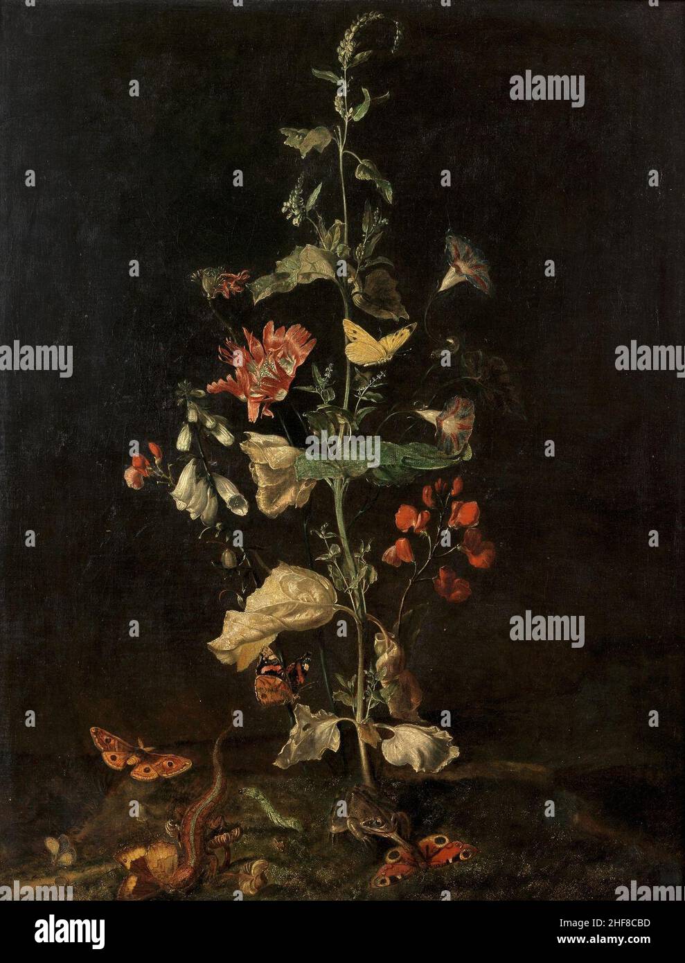 Otto Marseus van Schrieck (Studio of) - Forest floor still life with butterflies and a lizard ...