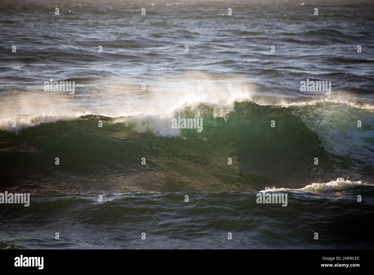 waves with white wave crest at point Lobos, California with transparent ...