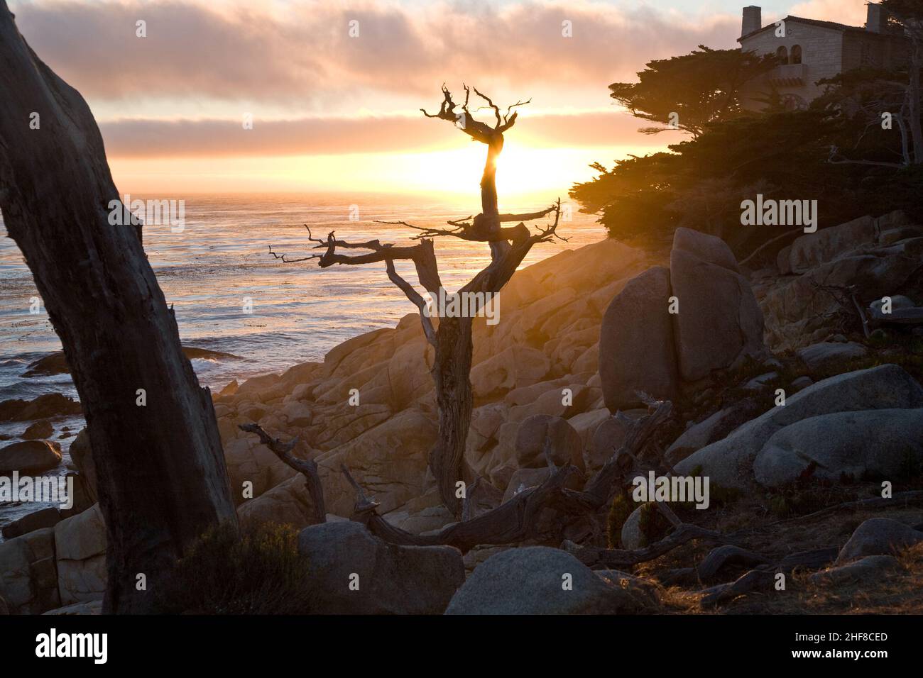 romantic sunset with an old dead tree on the rock Stock Photo - Alamy