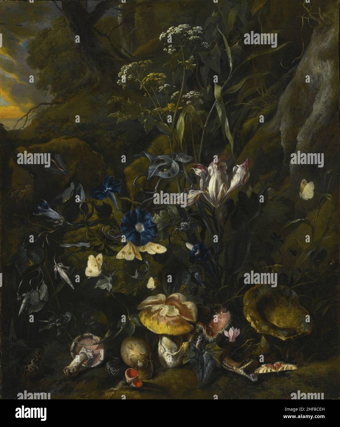 Otto Marseus van Schrieck - Forest floor still-life with flowers and ...