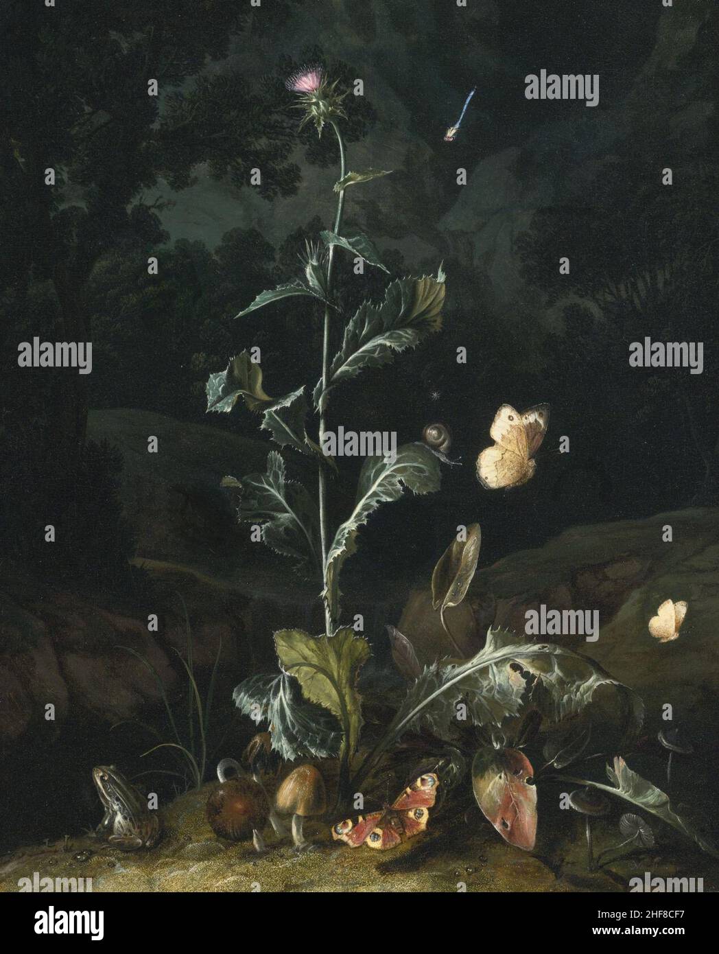 Otto Marseus van Schrieck - Forest floor still-life with flowers and ...